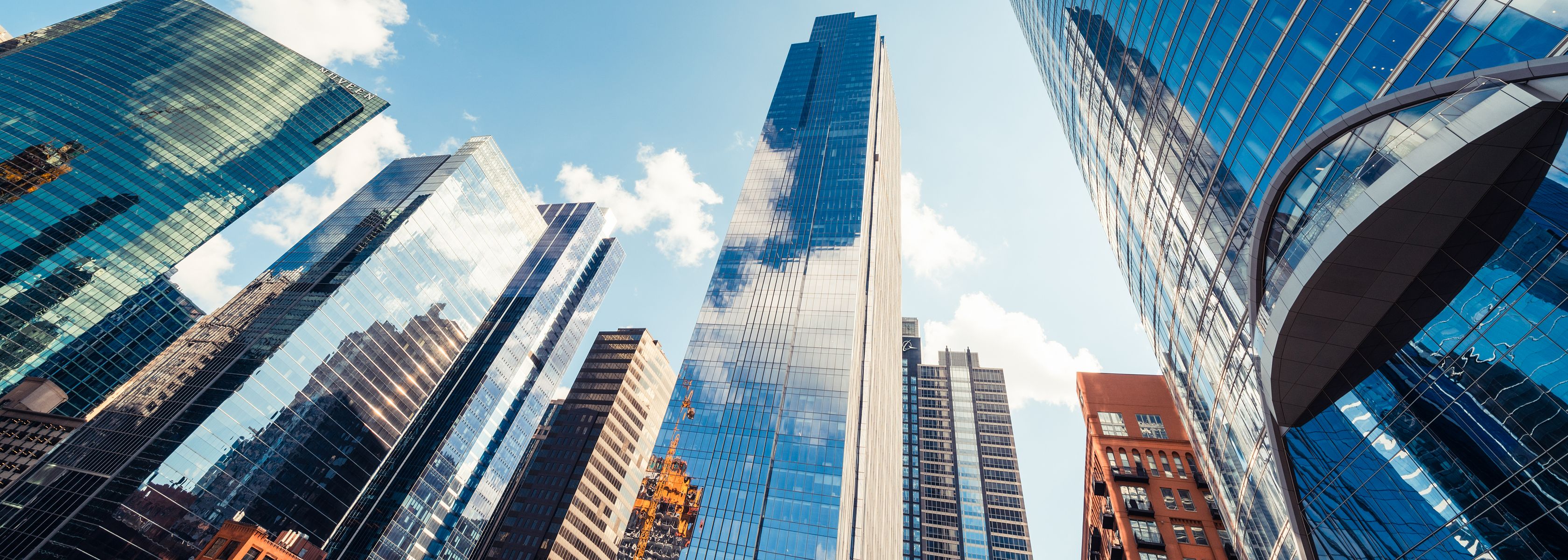 Accession Risk Management Group | Our Companies